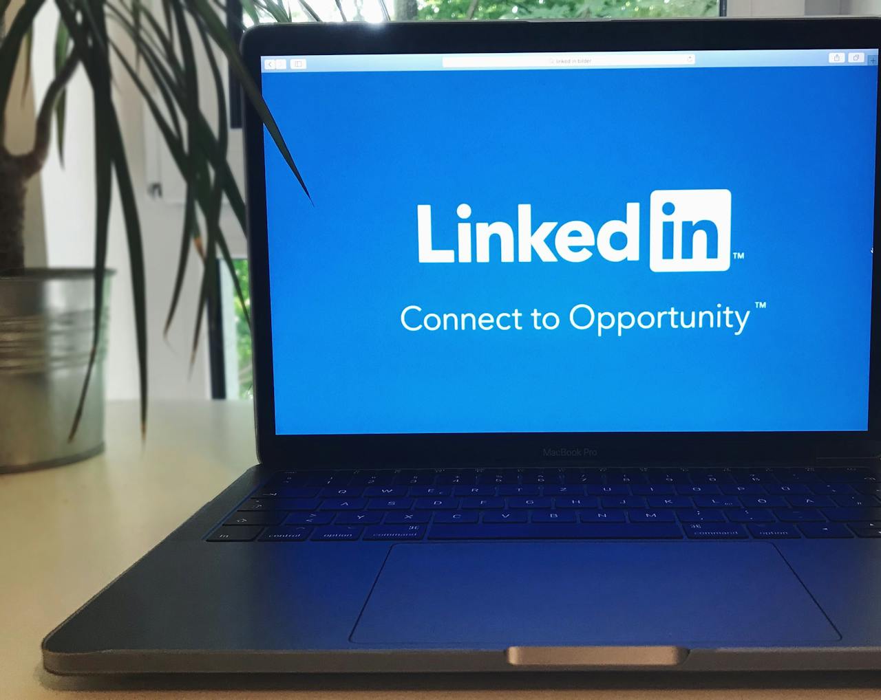 Kako se junior full stack developeri mogu istaknuti na LinkedIn-u u 2025? – FTN Informatika